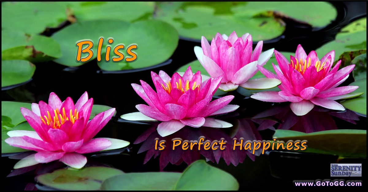 Bliss Is Perfect Happiness | Genevieve Gerard
