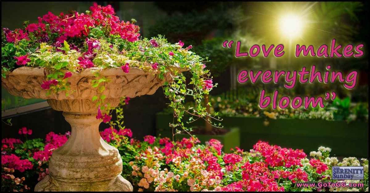 Return to the Garden of Your Soul | Genevieve Gerard