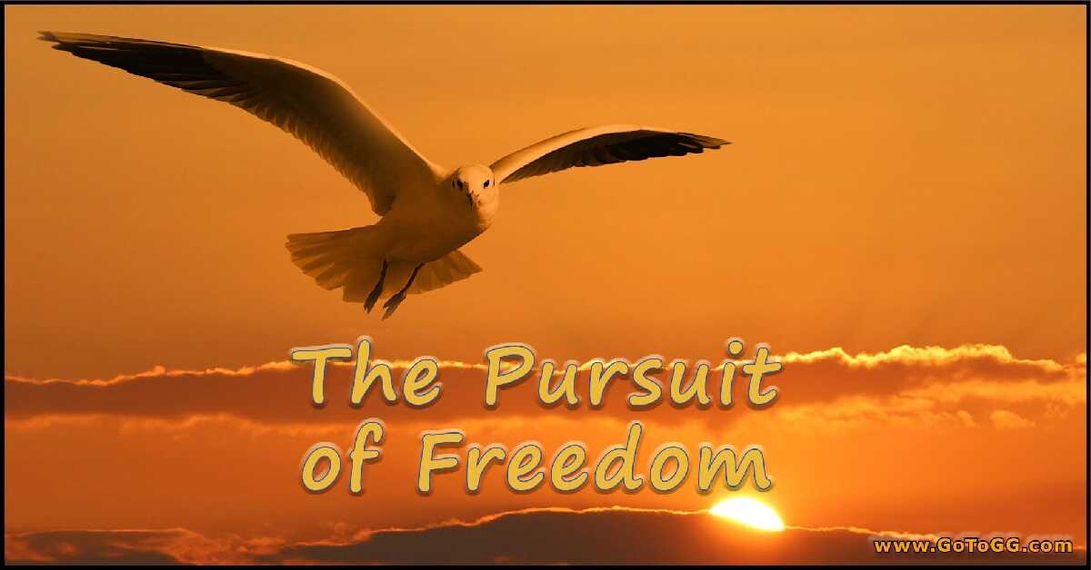 You Are Born To Be Free | Genevieve Gerard